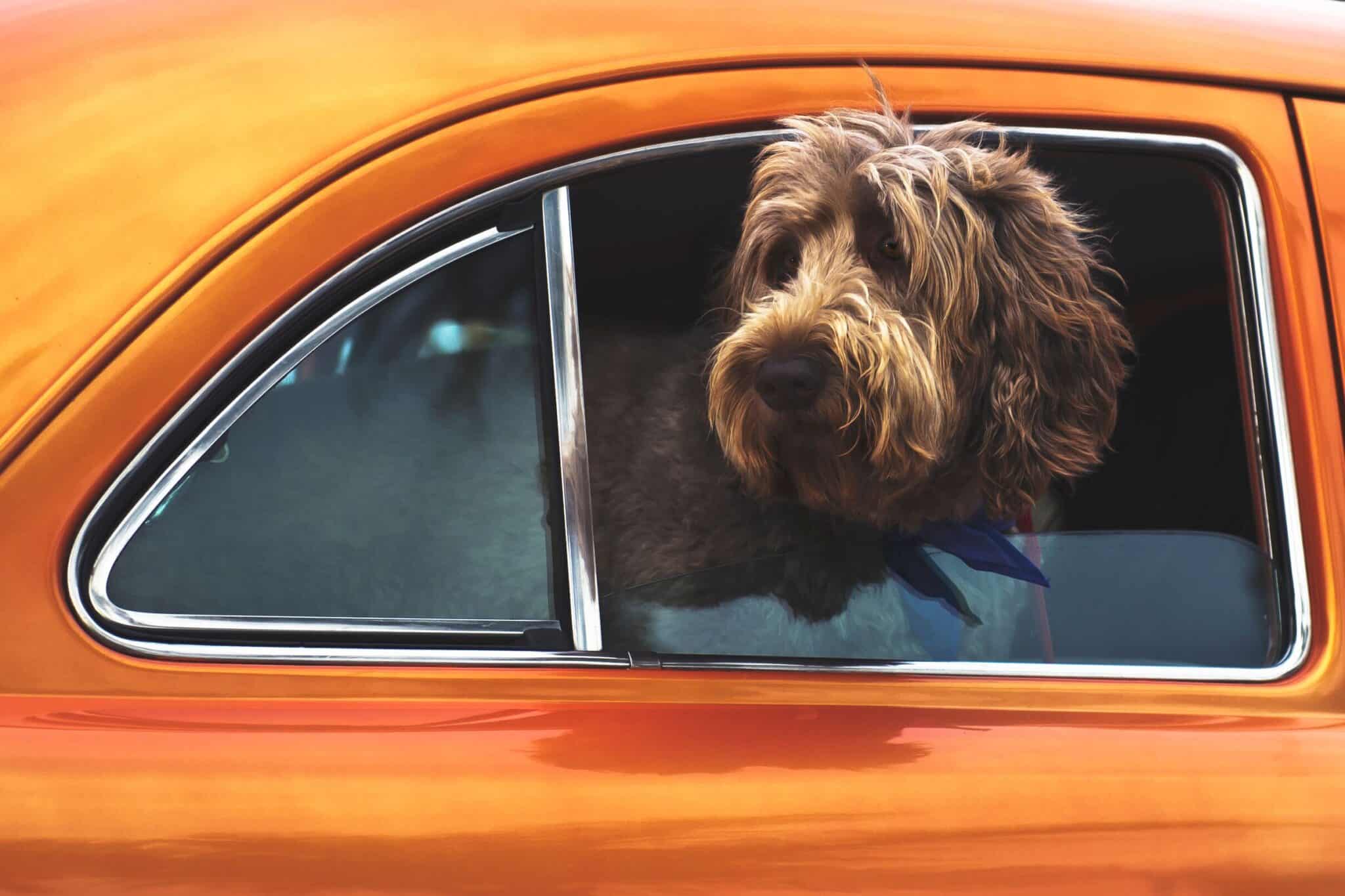 Can i get car finance with an IVA - IVA Car Finance